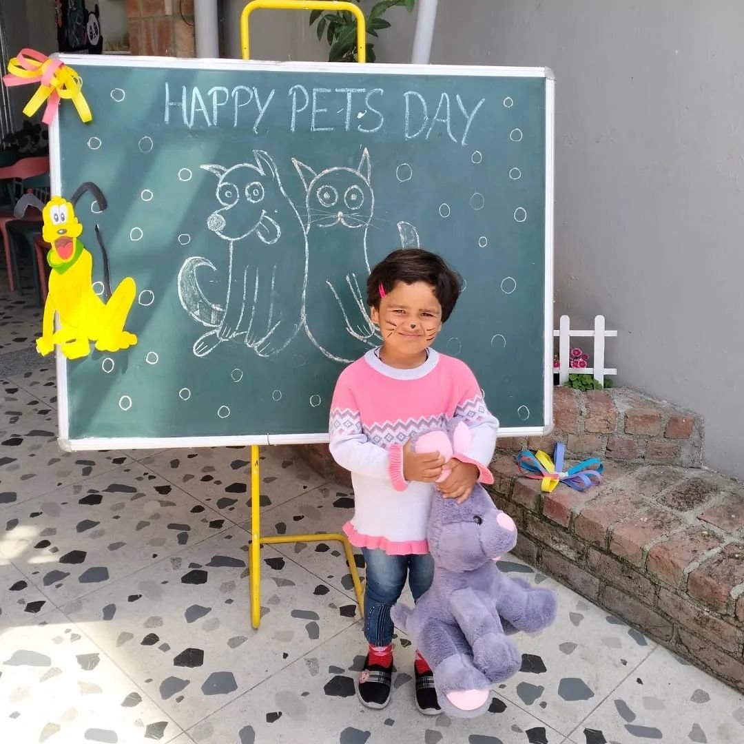 Importance of animal welfare - Rose Mount Pathways School